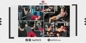 تشريح عضلة الصدر وطريقة إستهدافها | بات فيت | BatFit