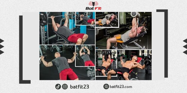 تشريح عضلة الصدر وطريقة إستهدافها | بات فيت | BatFit