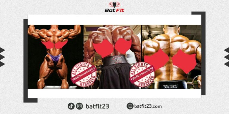 تشريح عضلة الظهر وكيفية إستهدافها | بات فيت | BatFit