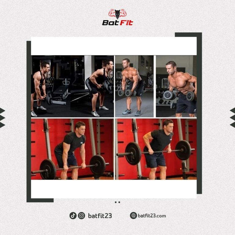 تشريح عضلة الظهر وكيفية إستهدافها | بات فيت | BatFit