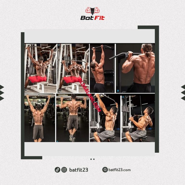 تشريح عضلة الظهر وكيفية إستهدافها | بات فيت | BatFit