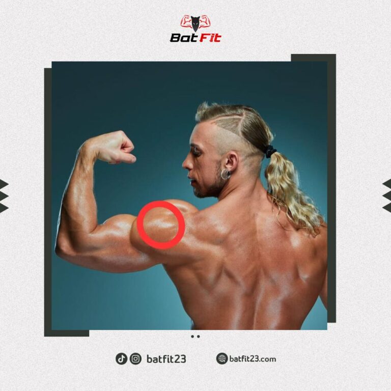 تشريح عضلة الكتف وطريقة إستهدافها | بات فيت | BatFit