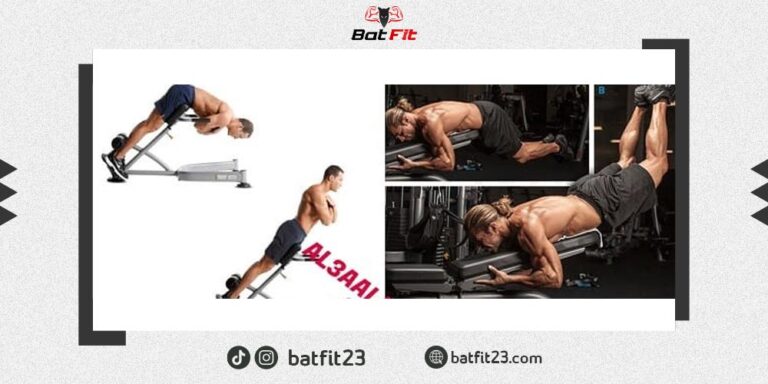 تشريح عضلة الظهر وكيفية إستهدافها | بات فيت | BatFit