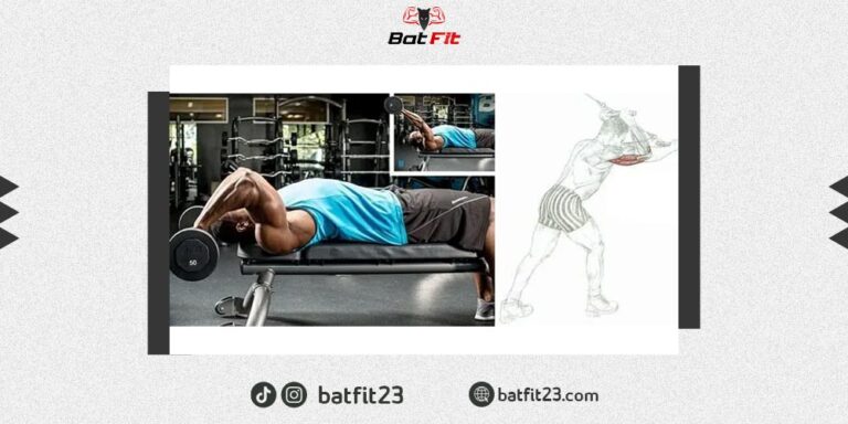 تشريح عضلة الترايسبس بالتفصيل للحصول على أقصى بناء عضلي | بات فيت | BatFit