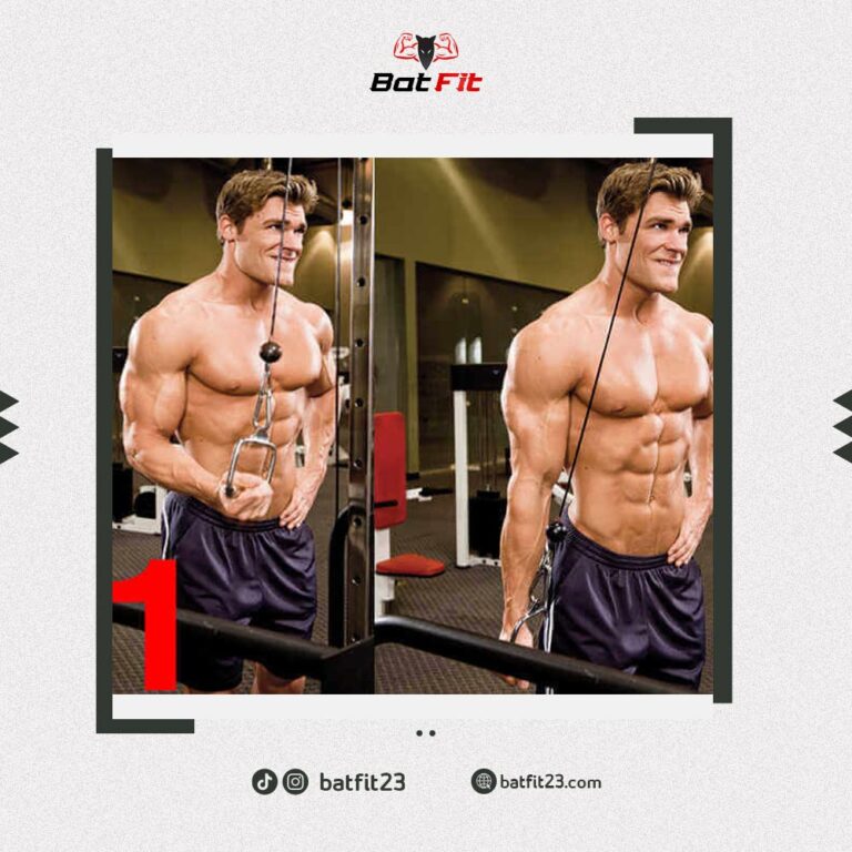 تشريح عضلة الترايسبس بالتفصيل للحصول على أقصى بناء عضلي | بات فيت | BatFit